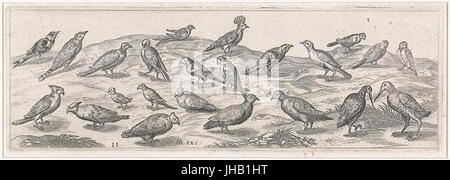 Landschap met vogels Stock Photo - Alamy