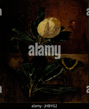 Julio Ruelas - The Magnolia Stock Photo - Alamy