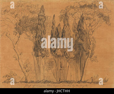 Trees in the Villa Negroni Planted by M. Angelo by John Flaxman Stock ...