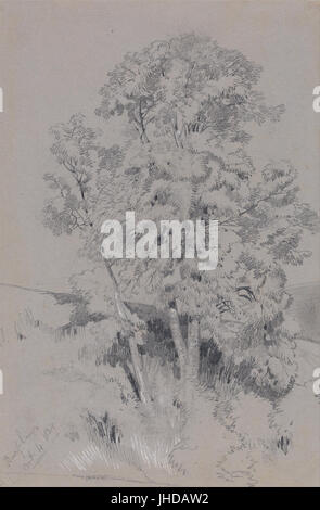 Edward Lear, a British artist and poet, created works across Europe ...
