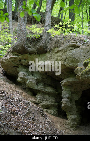 Mirachowo Caves (Groty Mirachowskie) in Lubygosc Reserve in Mirachowo ...