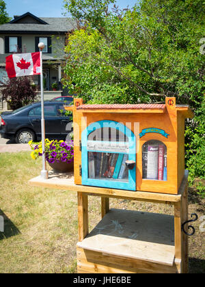 A cute Little Free Library book exchange box in Saskatoon, Saskatchewan ...