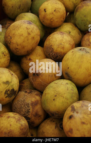 Fruit, tropical, bacuri, Belém, Pará, Brazil Stock Photo - Alamy