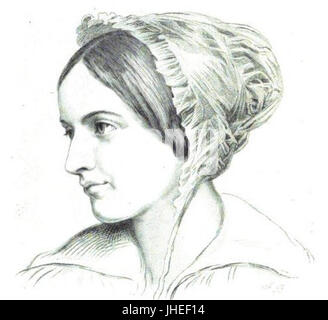 Fox Caroline Sketch Stock Photo - Alamy