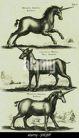 The 'Monocerus Unicornu,' or Unicorn, is a legendary creature often ...