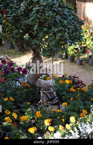 Orman Park, Spring Festival Stock Photo - Alamy