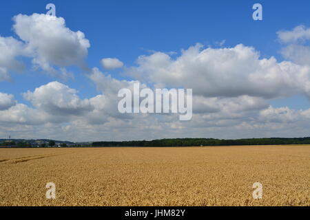Landscapes, River Rhine Country Stock Photo - Alamy