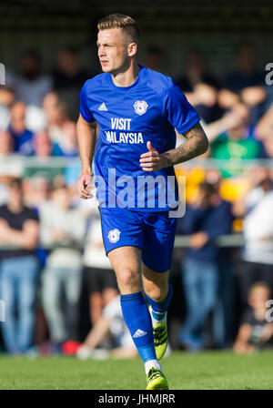 Joe Ralls, Cardiff City Stock Photo - Alamy