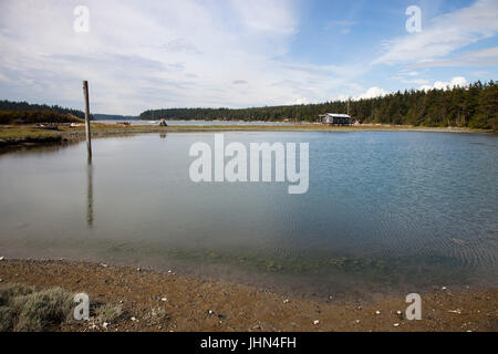 La Conner Campground, Swinomish Indian Reservation, Skagit Bay, Fidalgo ...