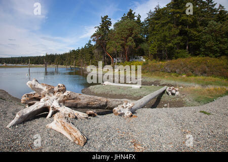 Beach, La Conner Campground, Swinomish Indian Reservation, Skagit Bay ...