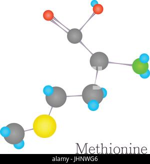 Methionine l- methionine, Met , M essential amino acid molecule ...