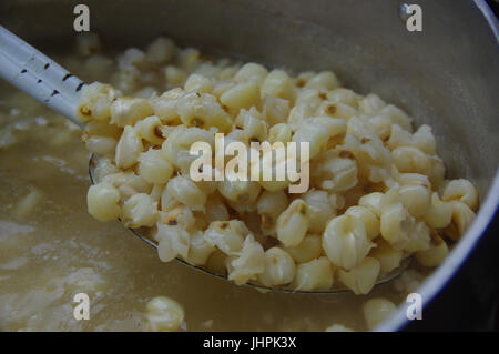 Close up of a cooked mote ecuadorian traditional typical andean food ...