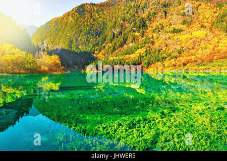 Five Flower Lake at autumn sunrise time. Jiuzhaigou nature reserve ...