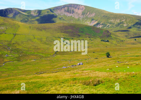 Upland landscape view to Moel Eilio mountain, Mount Snowdon, Gwynedd ...