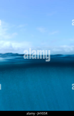 Perfect water drop splashing into smooth water causing ripples in a ...