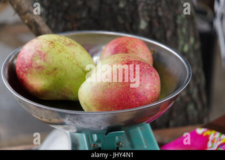 Tropical fruit apple mango Stock Photo - Alamy