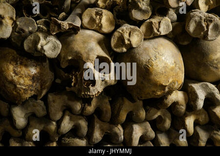 Bones, skeletons and skulls stack on top of each other Stock Photo - Alamy