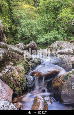The bubbling brook The bubbling brook.; The bubbling brook Stock Photo ...