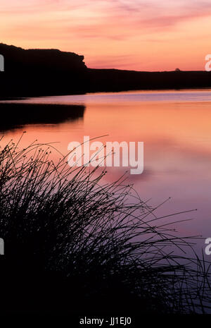 Stan Coffin Lake sunrise with bulrush, Quincy Wildlife Area, Washington ...