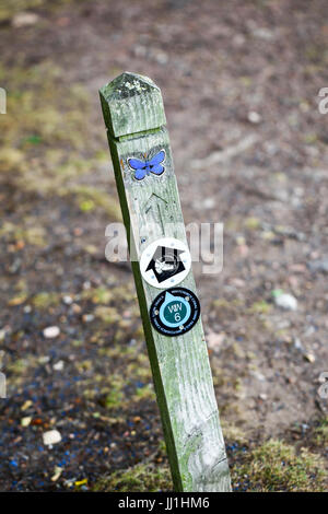 Prees Heath Common nature reserve near Whitchurch, Shropshire, England ...