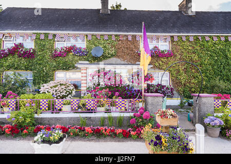 A house in County Wexford decorated in lots of flowers, and the flags ...