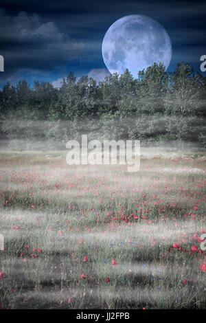 Moon over the field and forest night evening field Stock Photo - Alamy