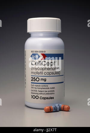 Mycophenolate (mycophenolic acid) immunosuppressive drug molecule. Used ...