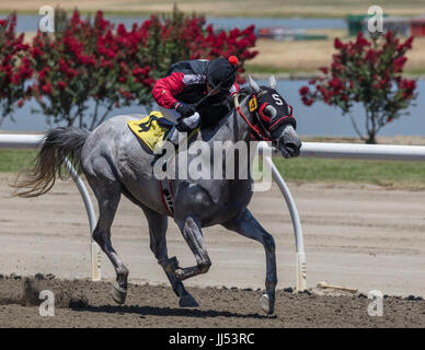 Horse racing action at the Cal Expo in Sacramento, California Stock ...