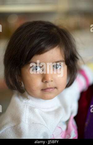 Portrait of a Gabor Rom family, Valeni, Transylvania, Romania Stock ...