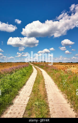 Beautiful summer rural landscape in the Central part of Russia on a ...