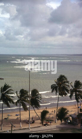 Beach of the Seven coconut trees; Alagoas; Maceió; Brazil Stock Photo ...