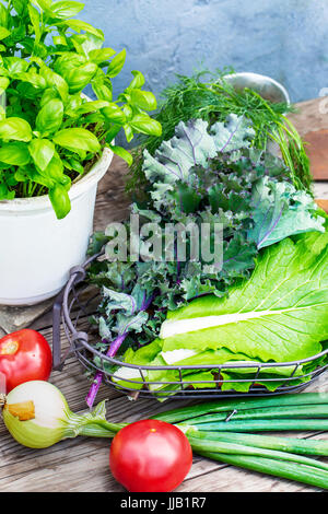 Dill green leafy vegetable, raw winter seasonal special veggie, thin ...