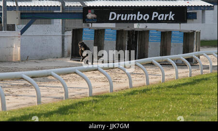 Greyhound racing traps Stock Photo - Alamy