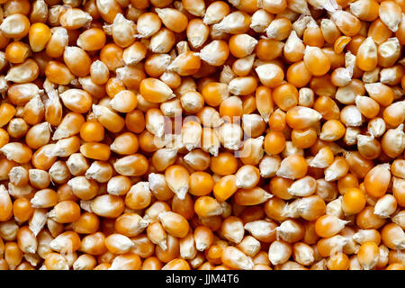 background of dry unpopped yellow popcorn kernels Stock Photo - Alamy