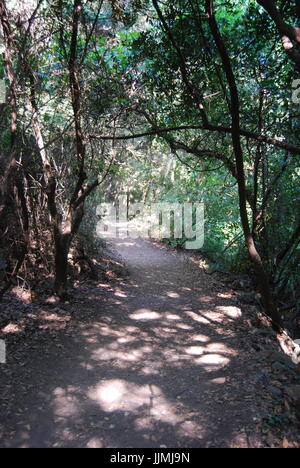 Wood road in Samos Stock Photo - Alamy