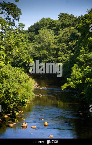 The River Wansbeck, Mitford, Northumberland Stock Photo - Alamy