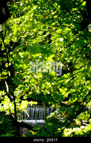 The River Wansbeck, Mitford, Northumberland Stock Photo - Alamy