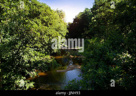 The River Wansbeck, Mitford, Northumberland Stock Photo - Alamy