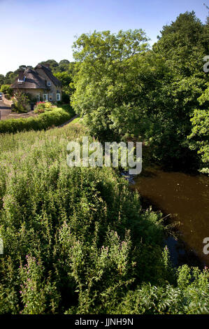 The River Wansbeck, Mitford, Northumberland Stock Photo - Alamy