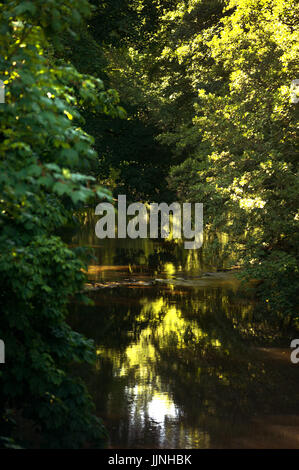 The River Wansbeck, Mitford, Northumberland Stock Photo - Alamy