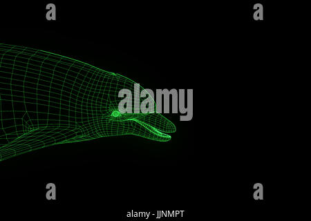 Dolphin in Hologram Wireframe Style. Nice 3D Rendering Stock Photo - Alamy