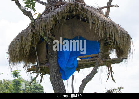 Makeshift shelter made with tree branches, Mirror Lake State Wayside ...