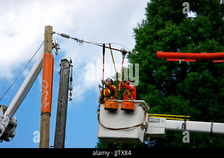 British Columbia Hydro electrical workers replacing electricity power ...