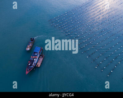 Wenzhou. 20th July, 2017. A fishing boat advances to a port of Nanji ...