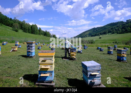 A beehive. Altai. Siberia. Russia Stock Photo: 14183319 - Alamy