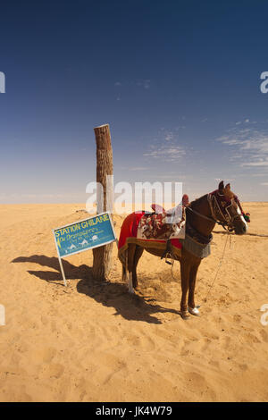 Tunisia, Ksour Area, Ksar Ghilane, Grand Erg Oriental Desert, ruins of ...