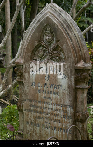 Vanuatu, Tanna Island Port Resolution, Jungle Road to Port Resolution ...