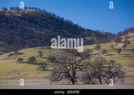 Williams California USA Stock Photo - Alamy