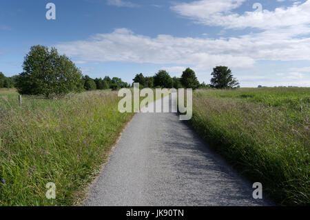Road through the landscape on Manija island. Manilaid Estonia 9th July ...