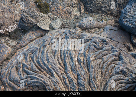 Solidified lave flow on the coastal plain of southern Iceland Stock ...
